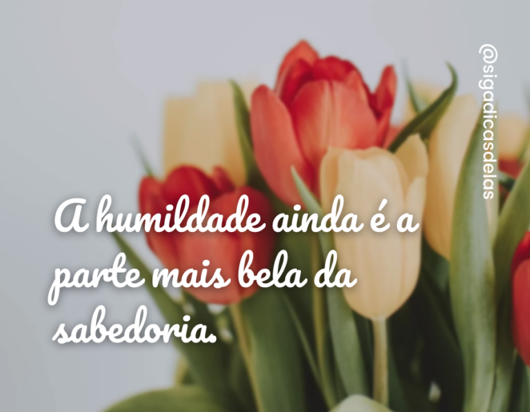 40 frases de humildade que vão te ajudar a nutrir essa qualidade