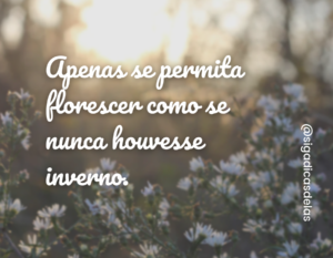 50 frases de flores que vão te fazer florescer junto com elas